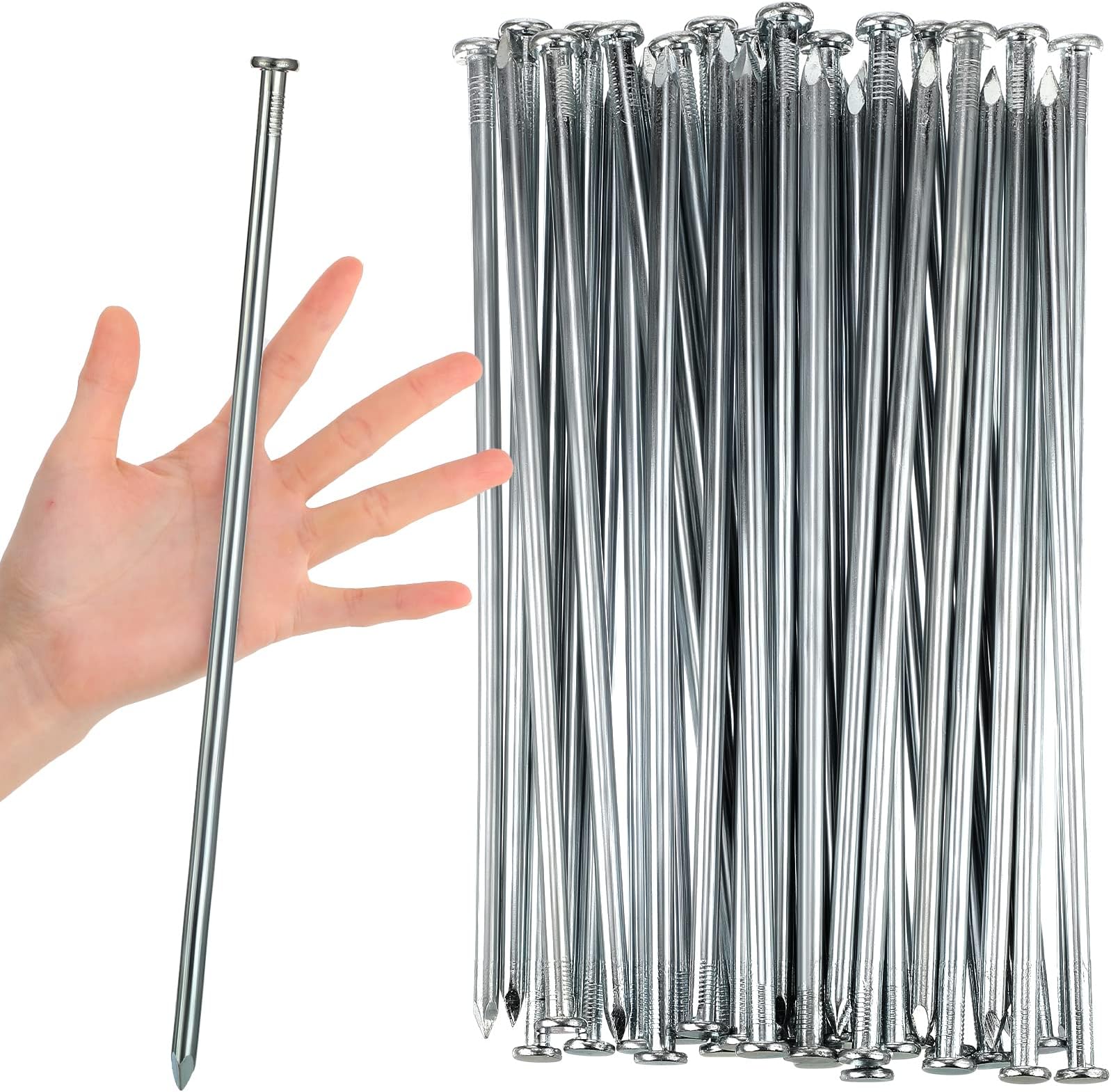 Amazon.com : EISENSP Extra-Long 14 Inch Landscape Stakes - Heavy Duty ...