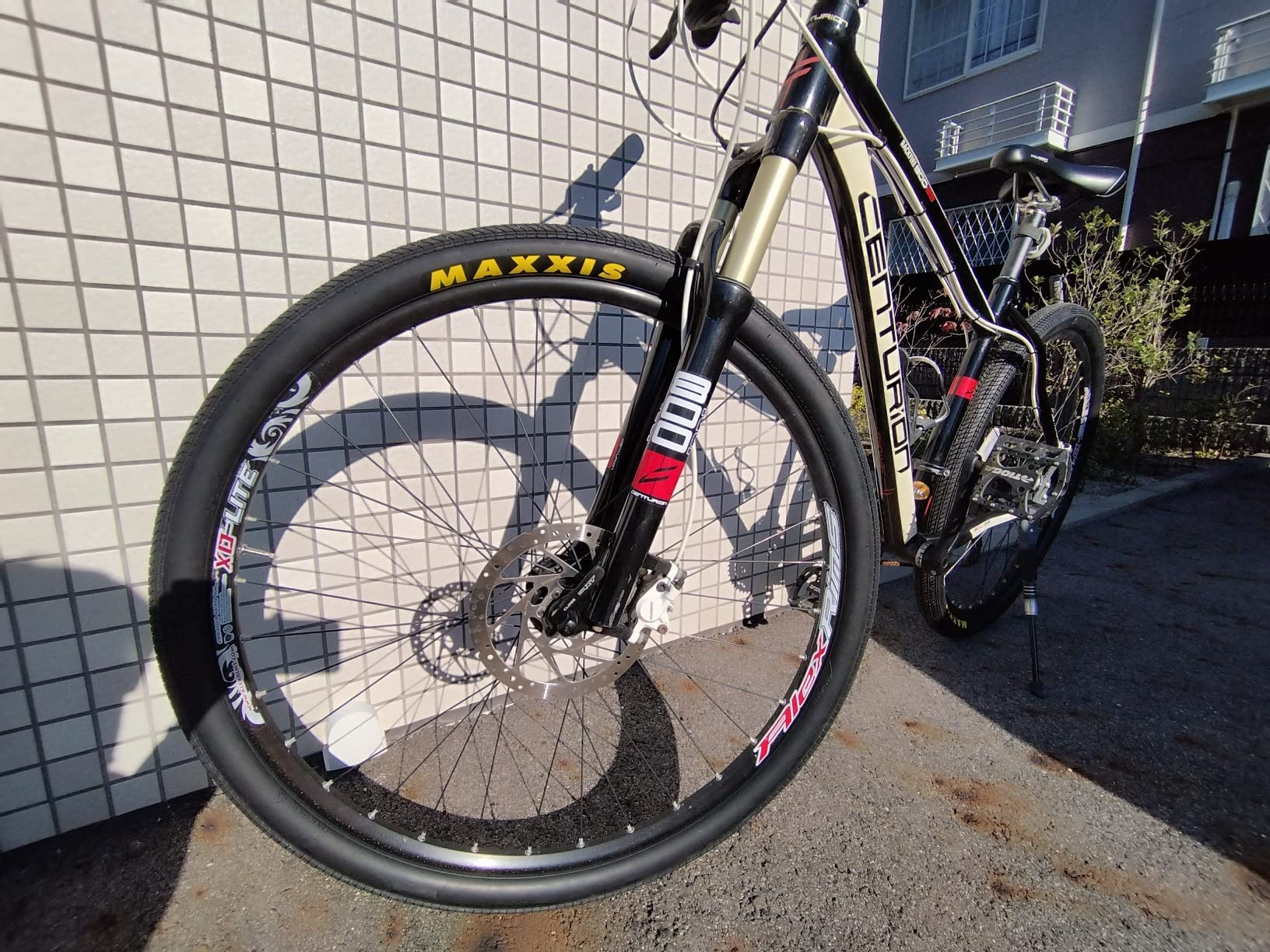 Amazon | MAXXIS(マキシス) MAXXIS(マキシス) GRIFTER 29er グリフター29er 29x2.0 ...