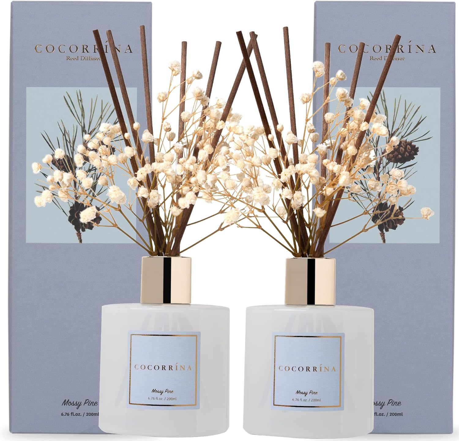 Amazon.com: Cocorrína Premium Reed Diffuser Set with Preserved Baby's ...