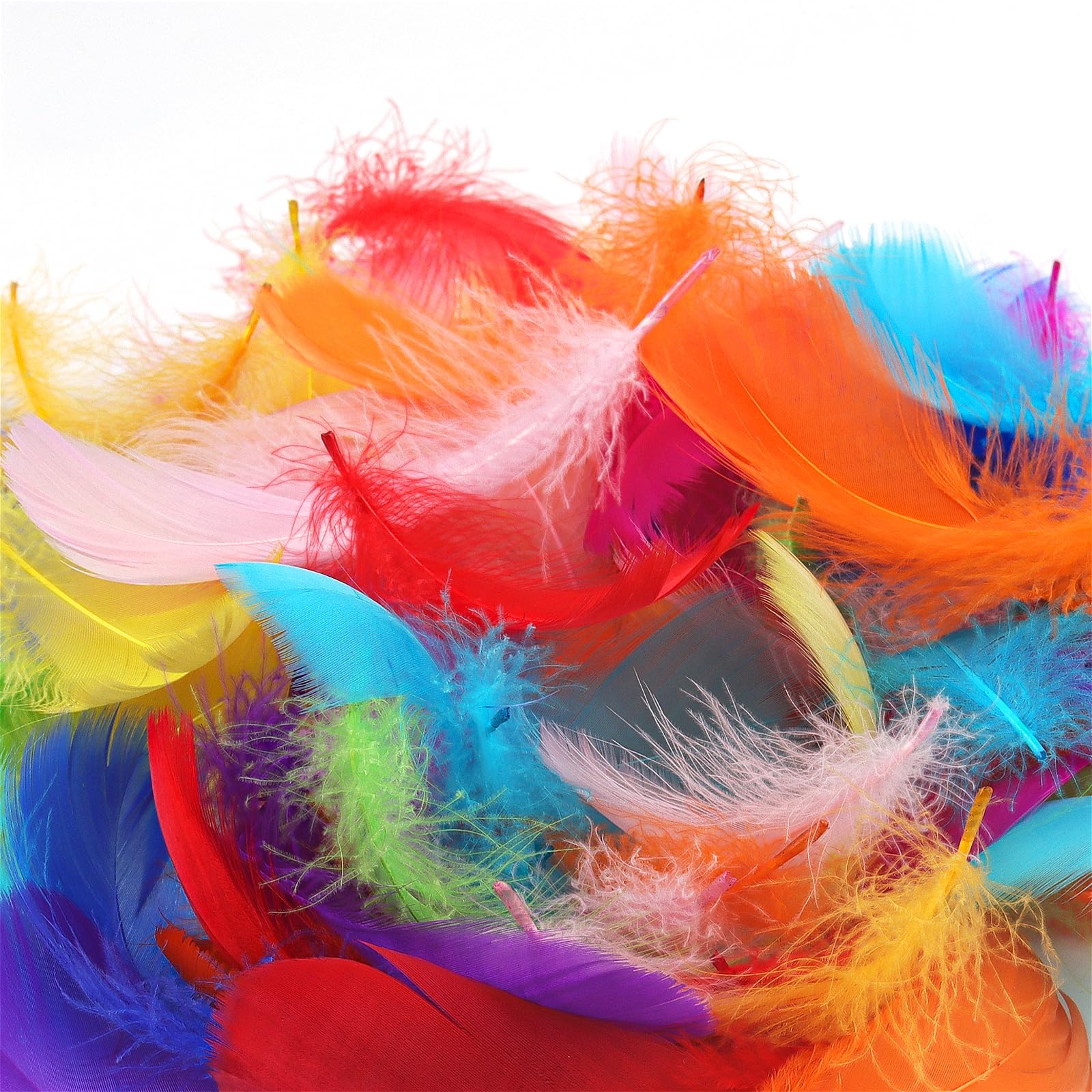 ZOENHOU 500 Pcs Coloured Feathers, 10 Colours Mixed Goose Feathers ...