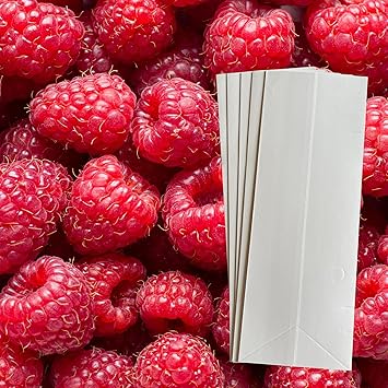 Amazon.com : Heritage Raspberry Plants (5 Plants) - 5 Raspberry ...