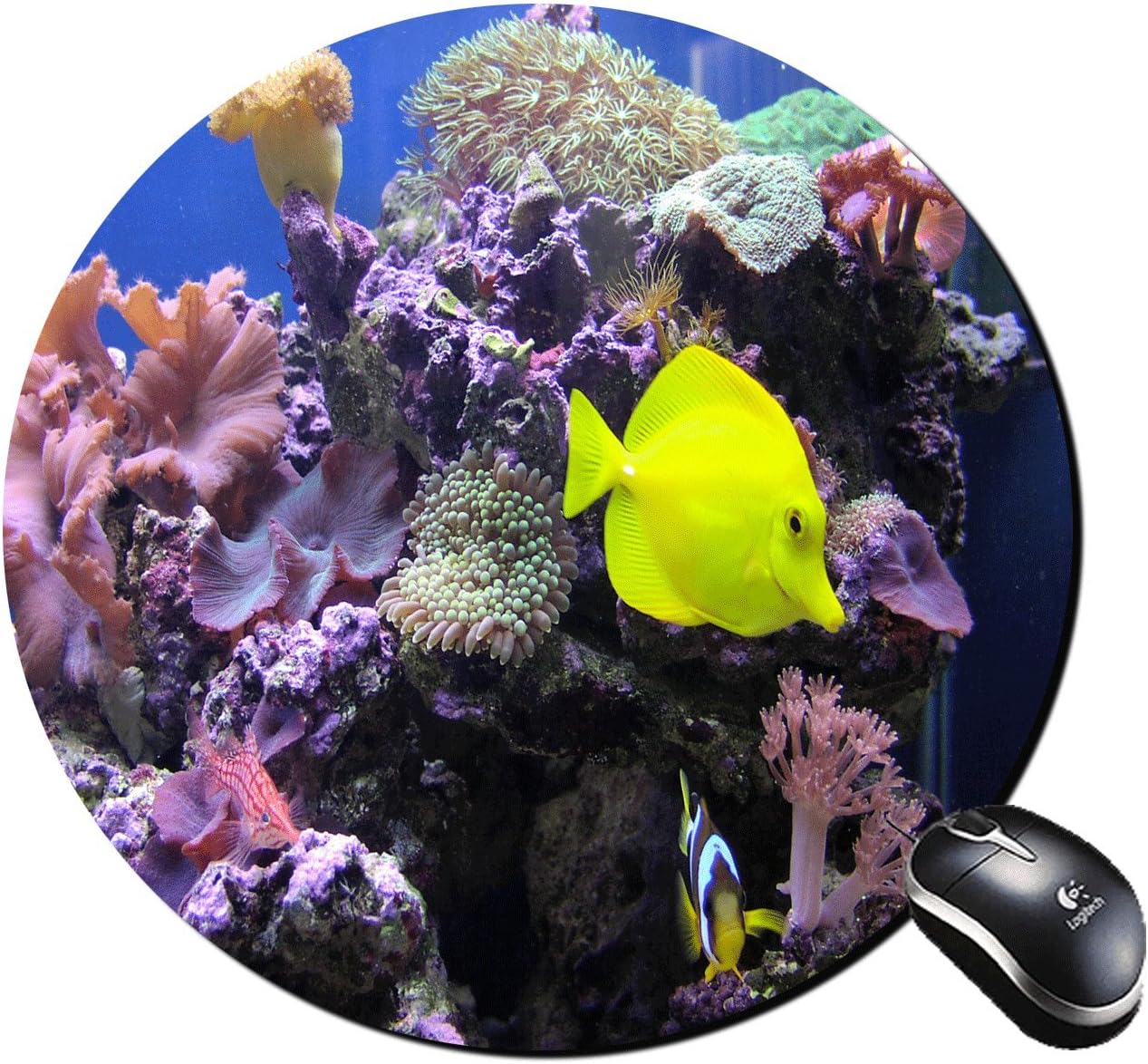 Amazon.com: Mouse Pad yellow fish Round Mousepad : Office Products