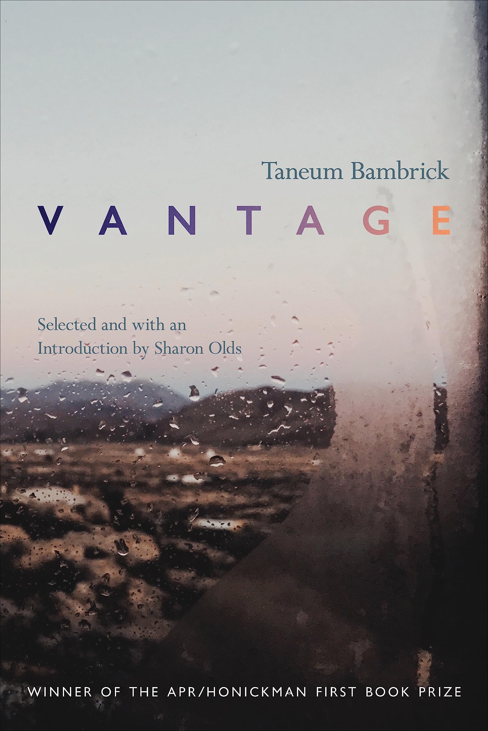 Vantage: Bambrick, Taneum: 9780986093807: Amazon.com: Books