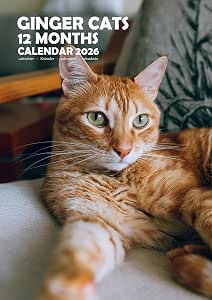 Ginger Cats 2026 Calendar, A3, Wirobound, Full Colour, Free Pack of ...