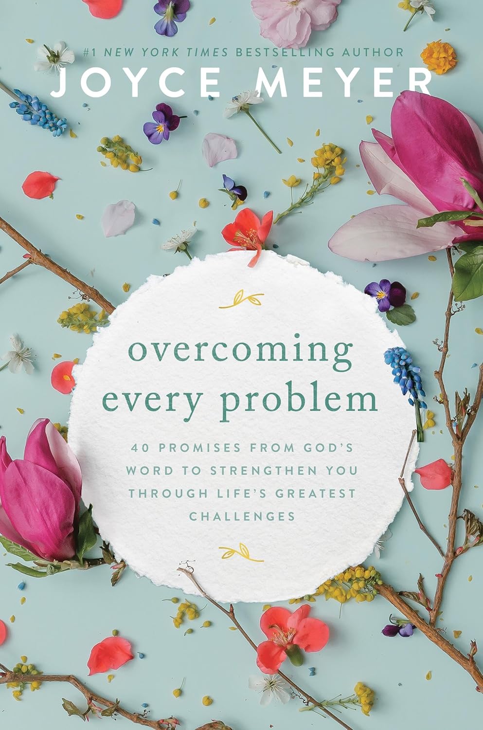 Overcoming Every Problem: 40 Promises from God’s Word to Strengthen You ...