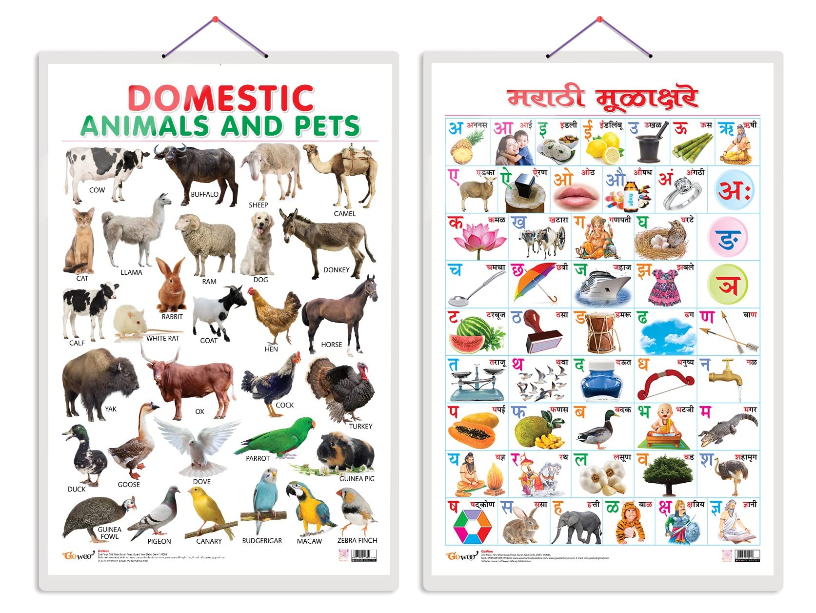 Buy Pack of 2 Domestic Animals and Pets and Marathi Varnamala (Marathi ...