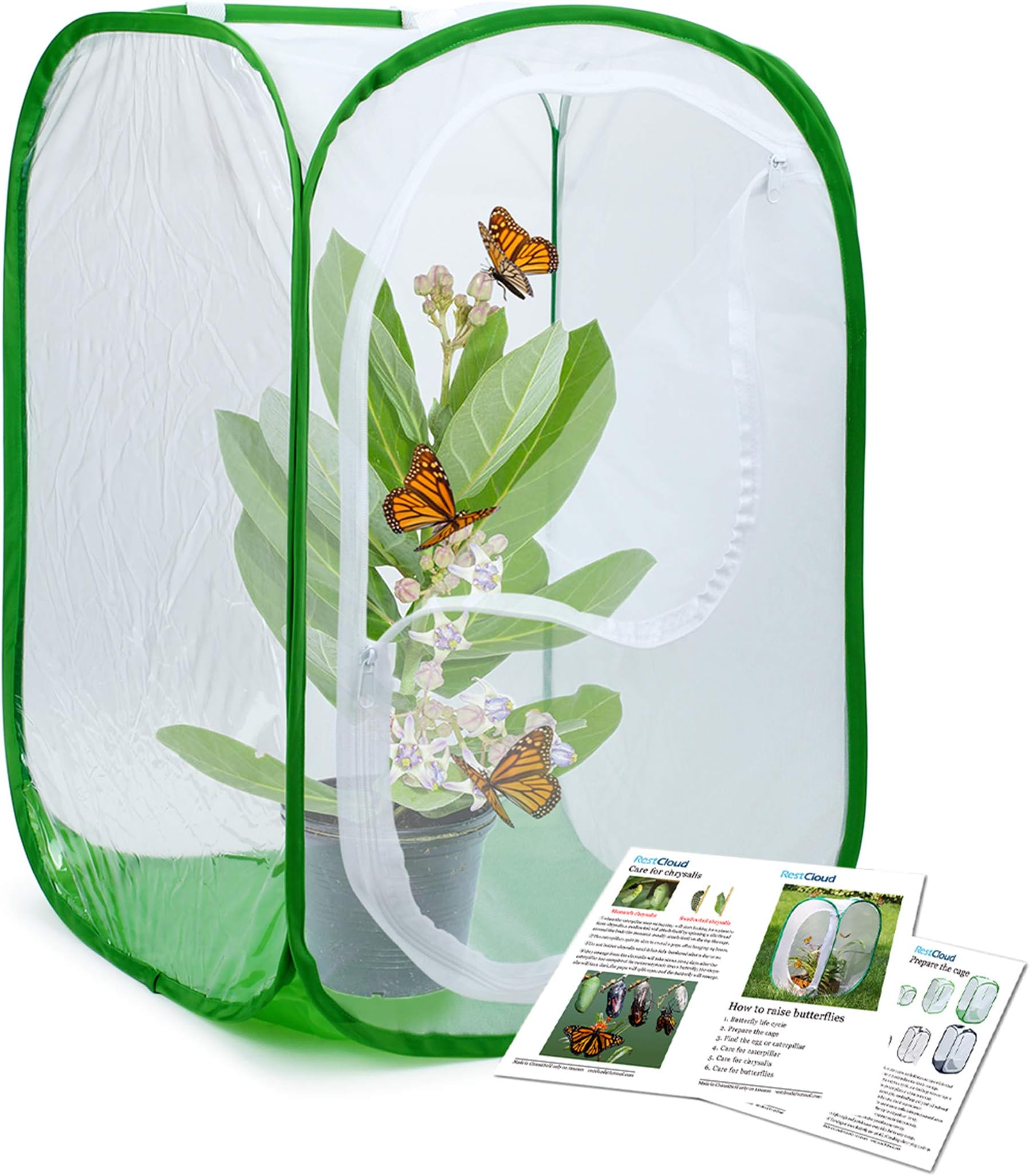 Amazon.com : 6 Pcs Butterfly Habitat Cage Bulk 12 x 14 Inch Insect ...
