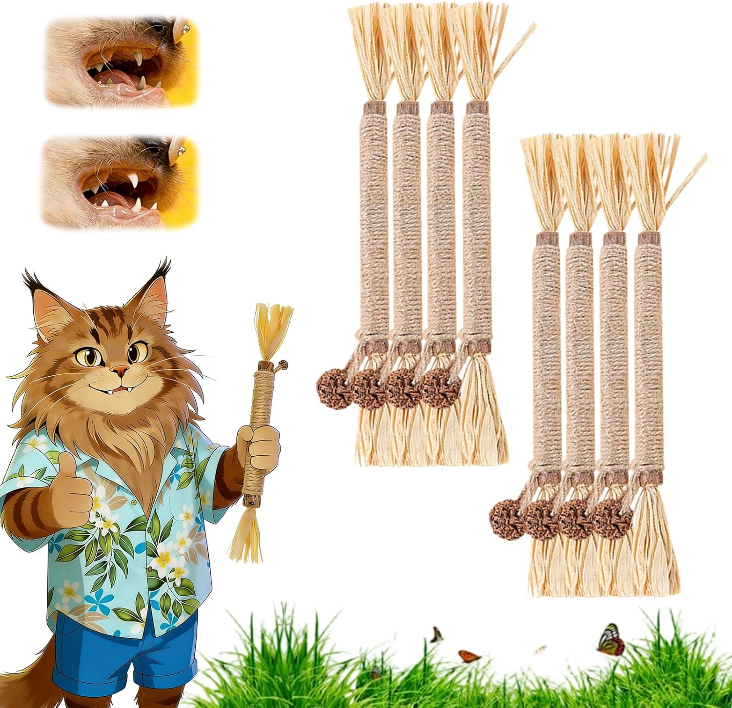 Amazon.com : BIBIFACTORY Natural Silvervine Dental Sticks, Silvervine ...