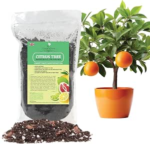 Citrus Tree Potting Soil Mix, Special Blend for Indoor Oranges, Lemons ...