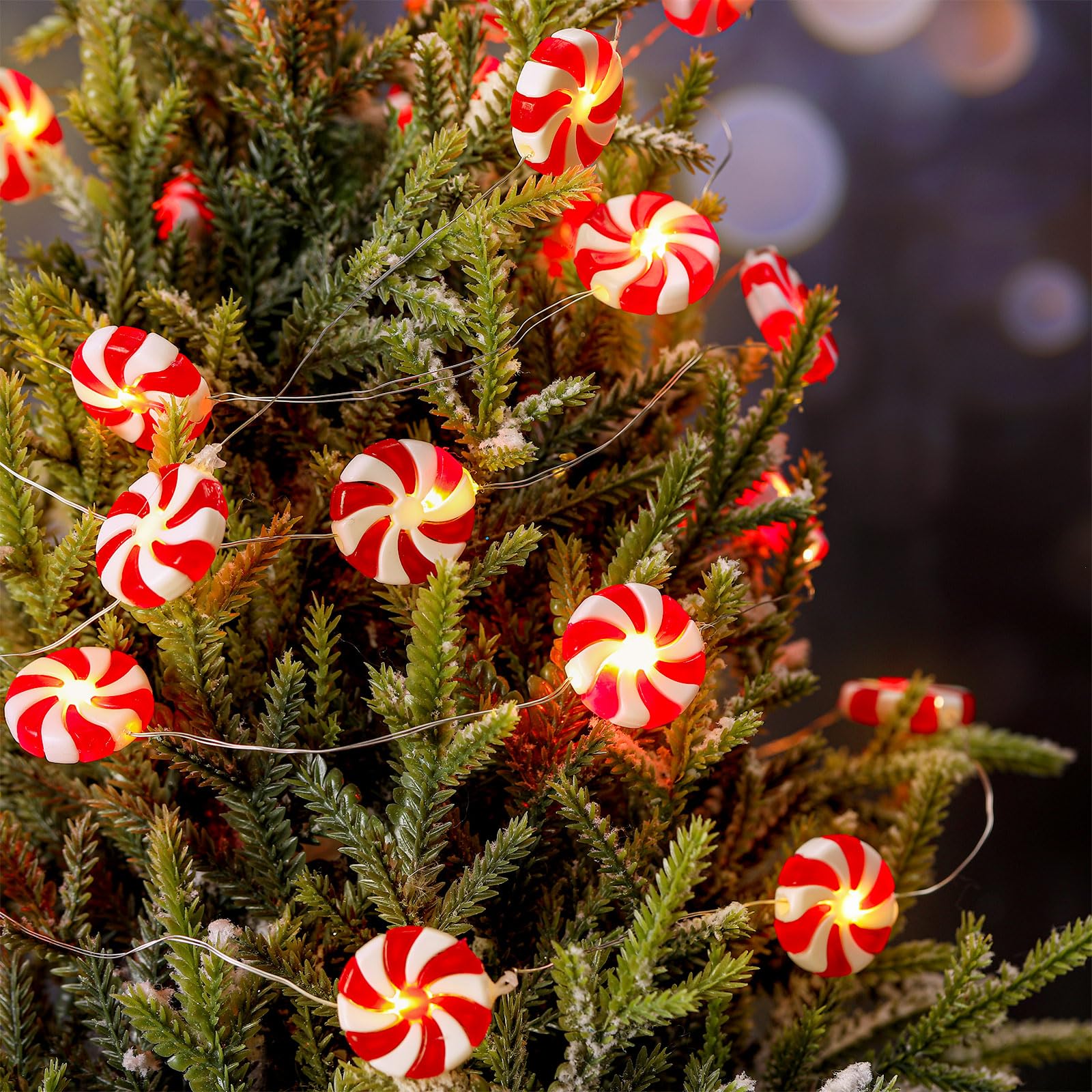Bencailor 3 Pack Christmas Peppermint Candy String Lights Christmas ...