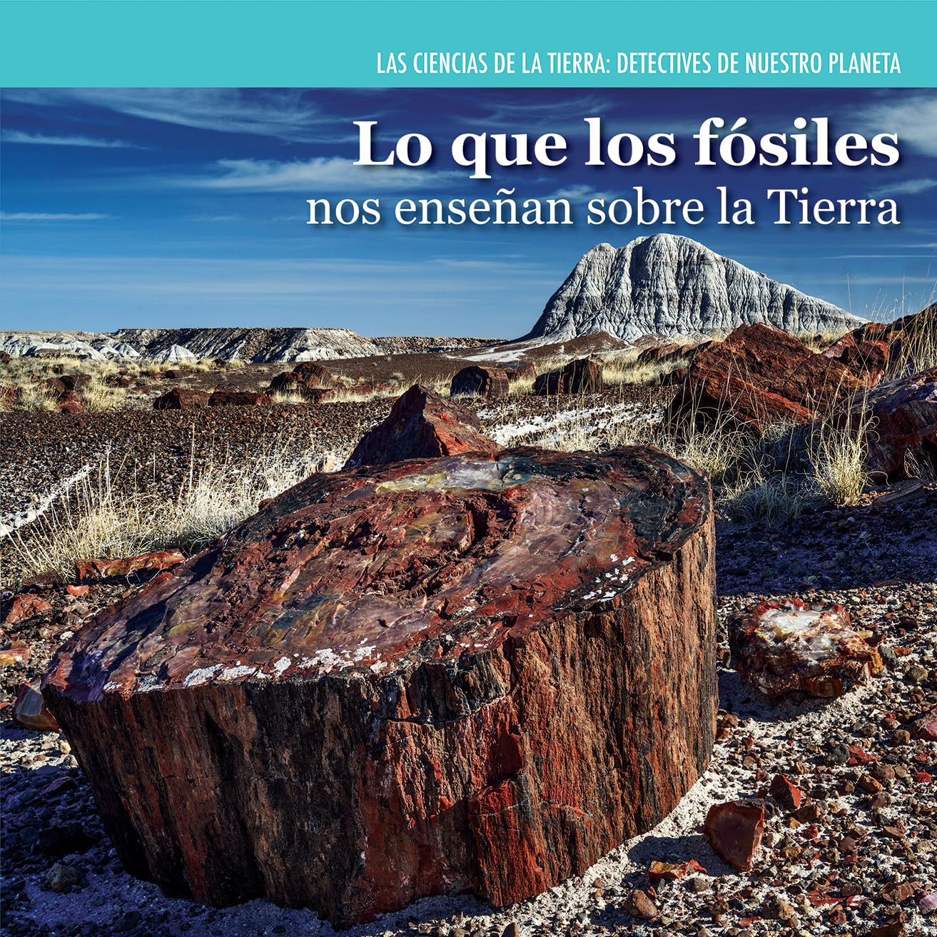 Lo que los fósiles nos enseñan sobre la Tierra / Investigating Fossils ...
