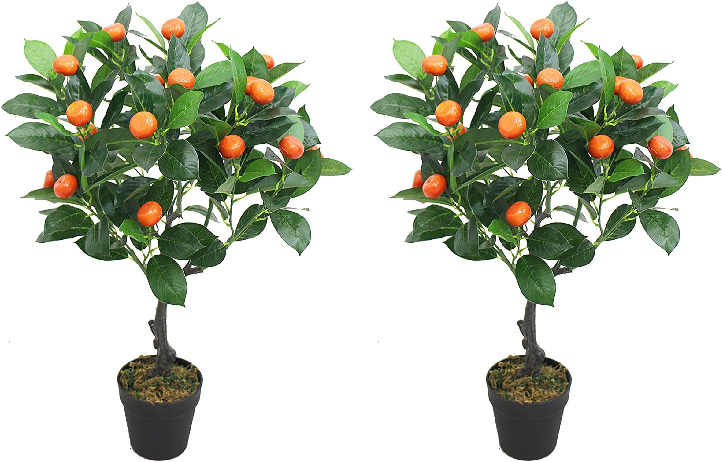 Amazon.com: Vickerman 51" Real Touch Artificial Flowering Orange Tree ...