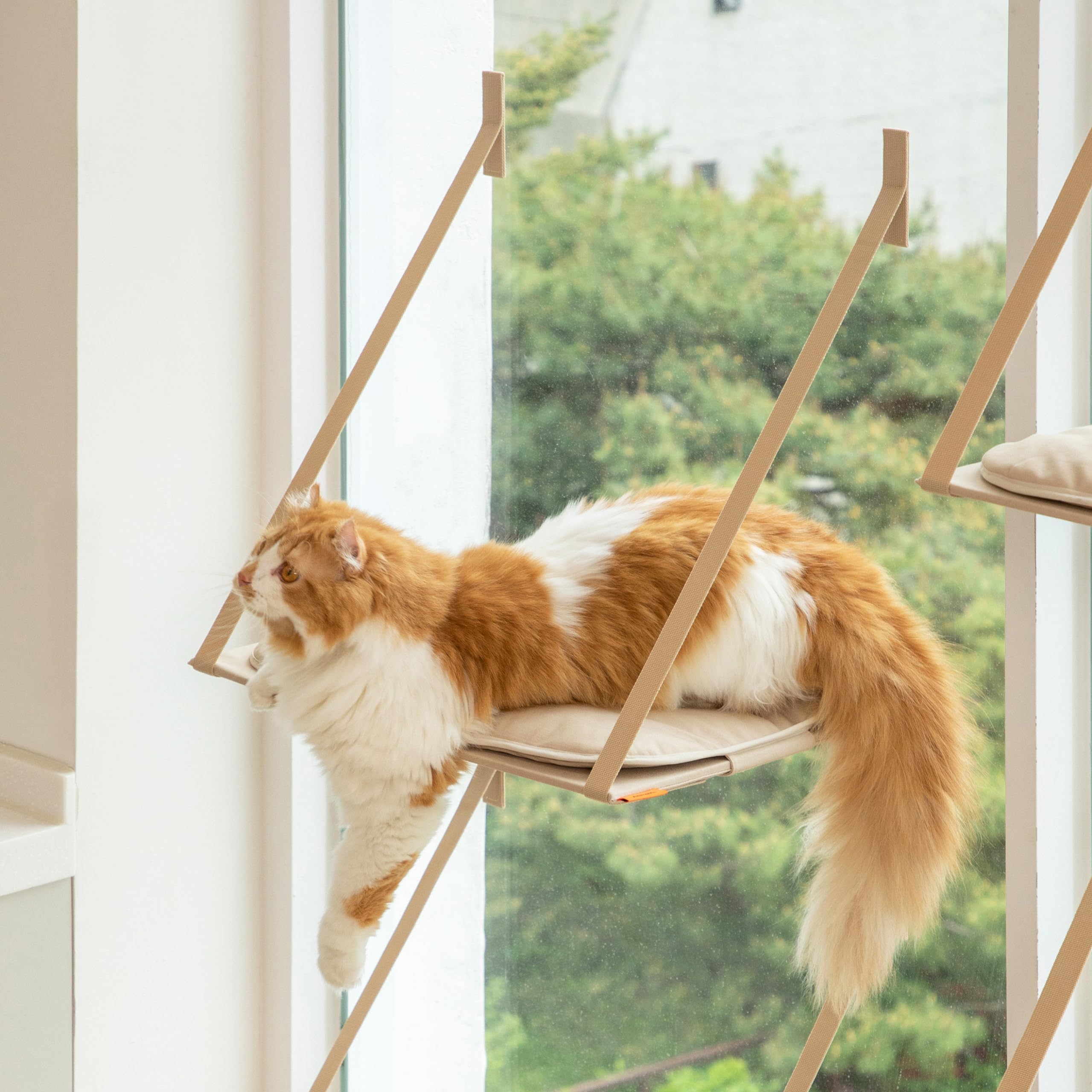 Amazon.com : Alldaynap Folding Cat Hammock - Premium Window Mounted Cat ...