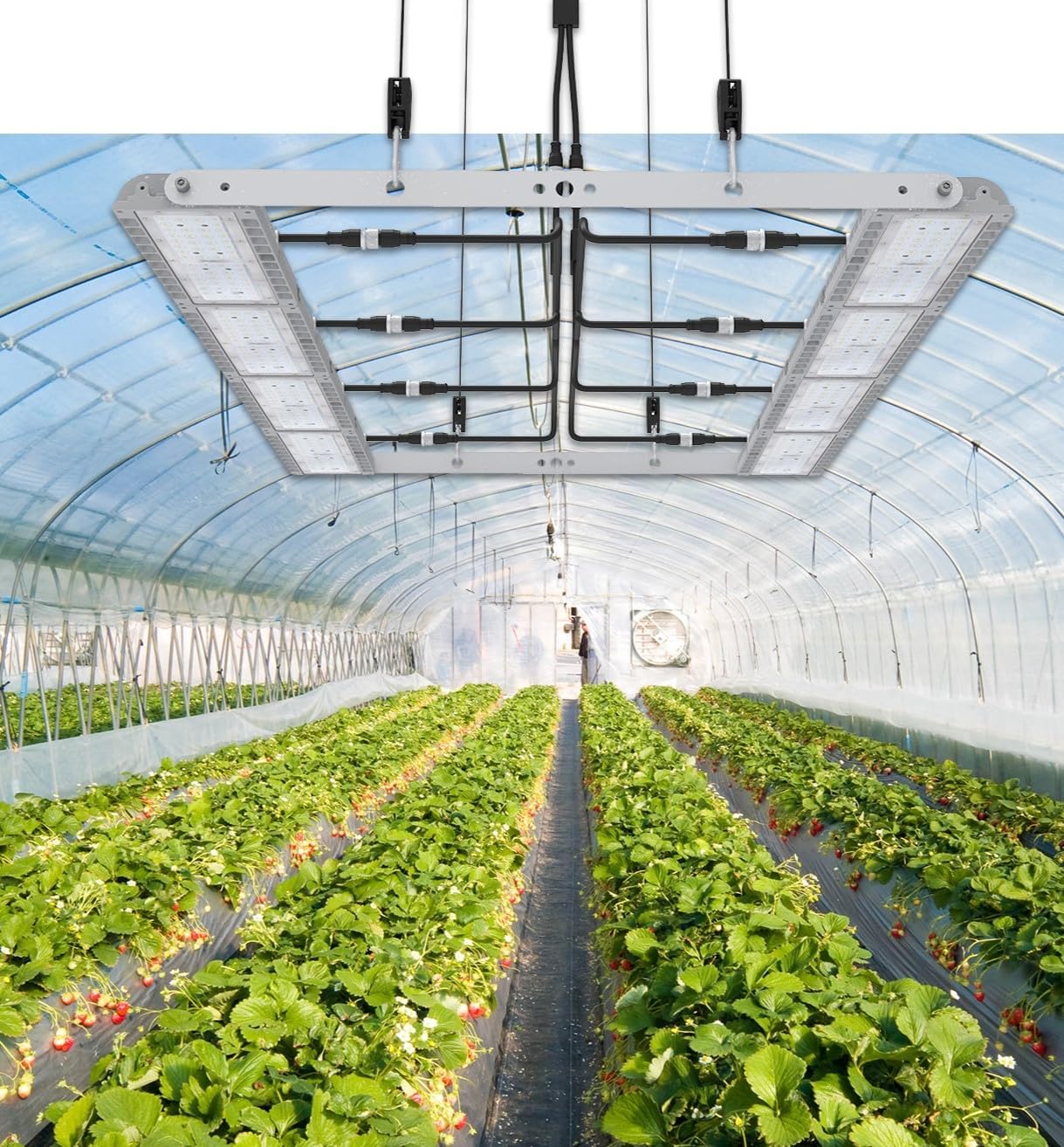 Amazon.com: Sulis Series 400W LED Grow Light Full Spectrum Grow Light ...