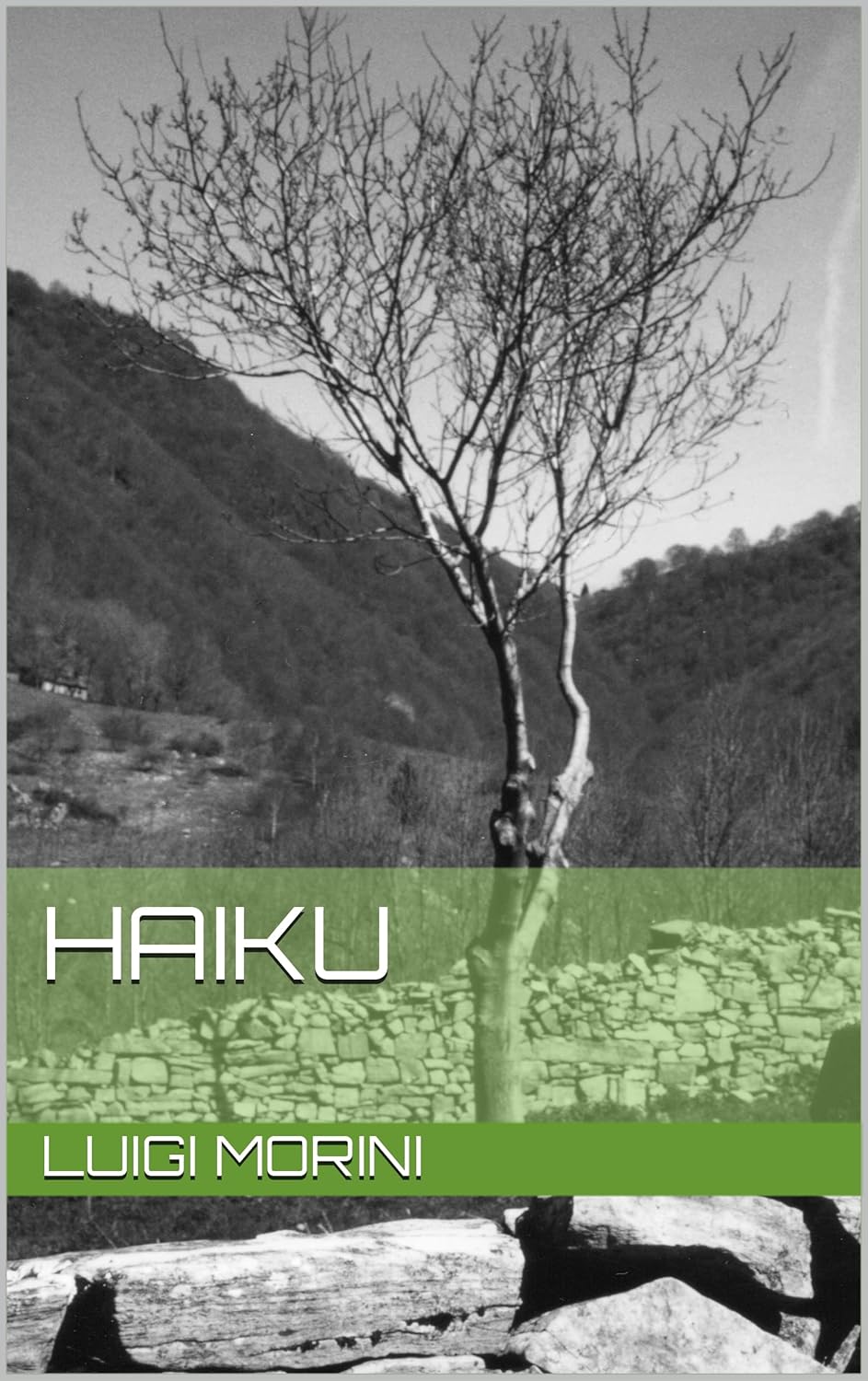 Amazon.co.jp: HAIKU (Italian Edition) 電子書籍: Morini, Luigi: Kindleストア