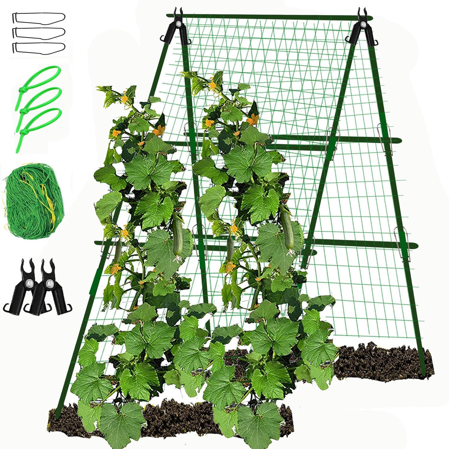 A Frame Vegetable Trellis