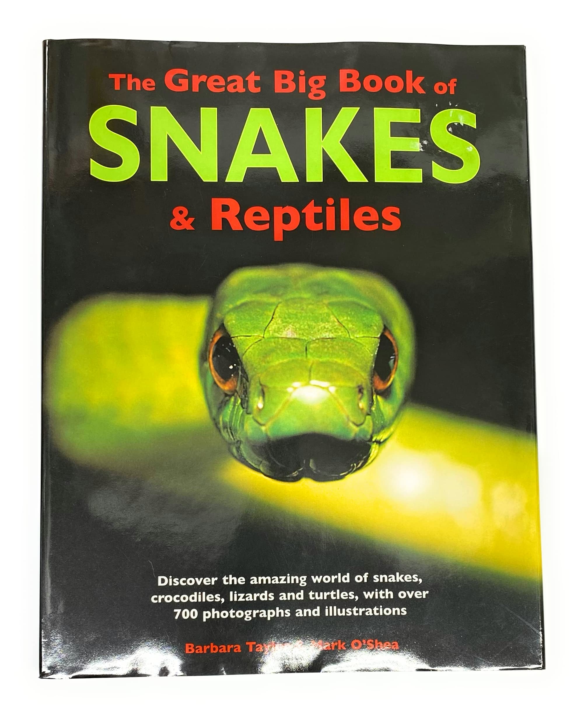 The Great Big Book of Snakes & Reptiles: Barbara Taylor, Mark O’Shea ...