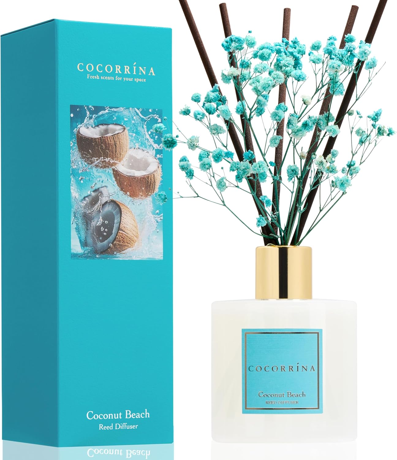 Amazon.com: COCORRÍNA Reed Diffuser - Coconut Beach 6.7 fl oz Reed ...