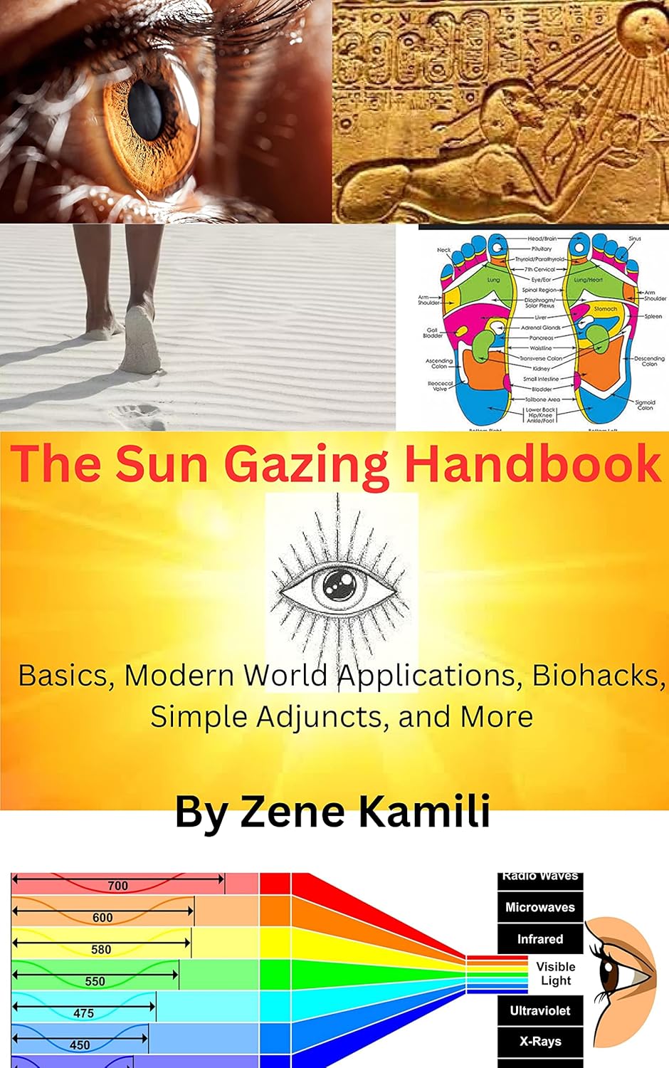 The Sun Gazing Handbook: Basics, Modern World Applications, Biohacks ...