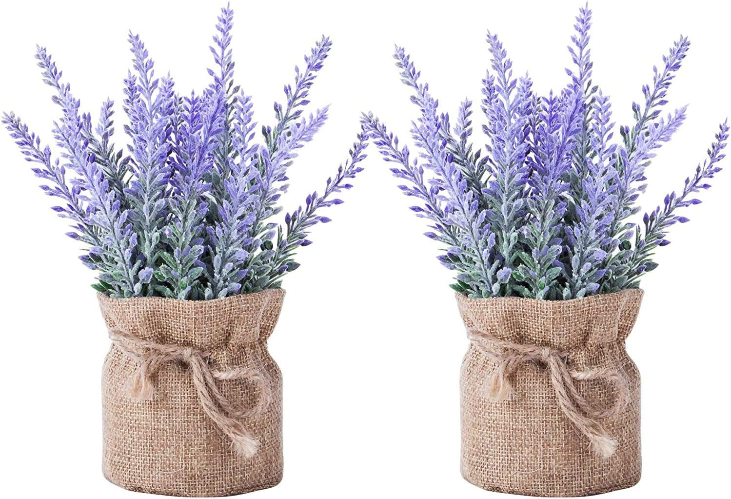 Amazon.com: CADNLY Fake Lavender Plant in Pot - Faux Lavender Flowers ...