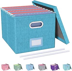 Oterri File Organizer with Lid, File Box, File Cabinet for Letter File ...