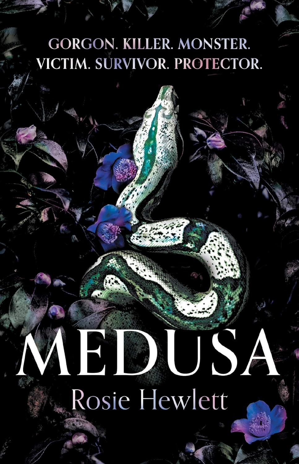 Amazon.com: Medusa: The feminist debut that boldly reclaims her ...