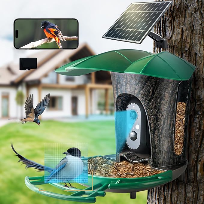 Amazon.com: Smart Bird Feeder with Camera, Bird Watcher Camera with ...