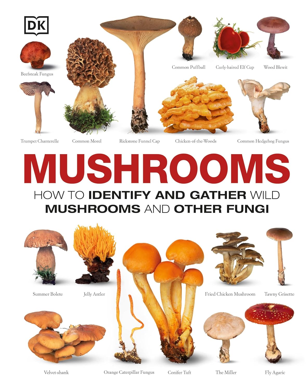 Amazon.com: Mushrooms: How to Identify and Gather Wild Mushrooms and ...