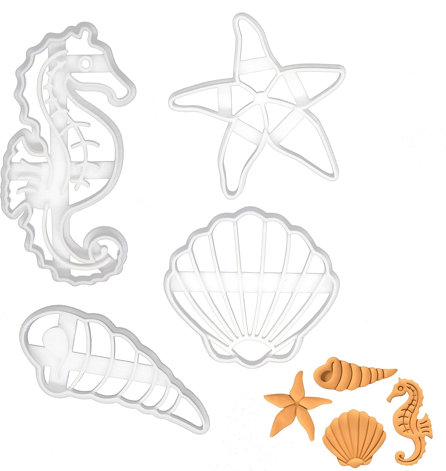 Amazon.com: Set of 4 Shells cookie cutters (Designs: Seashell ...