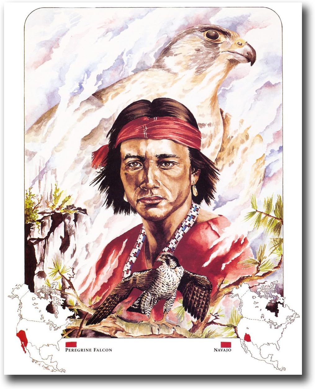 Amazon.com: Native American Indian Navajo Tribe Falcon Bird Wall ...