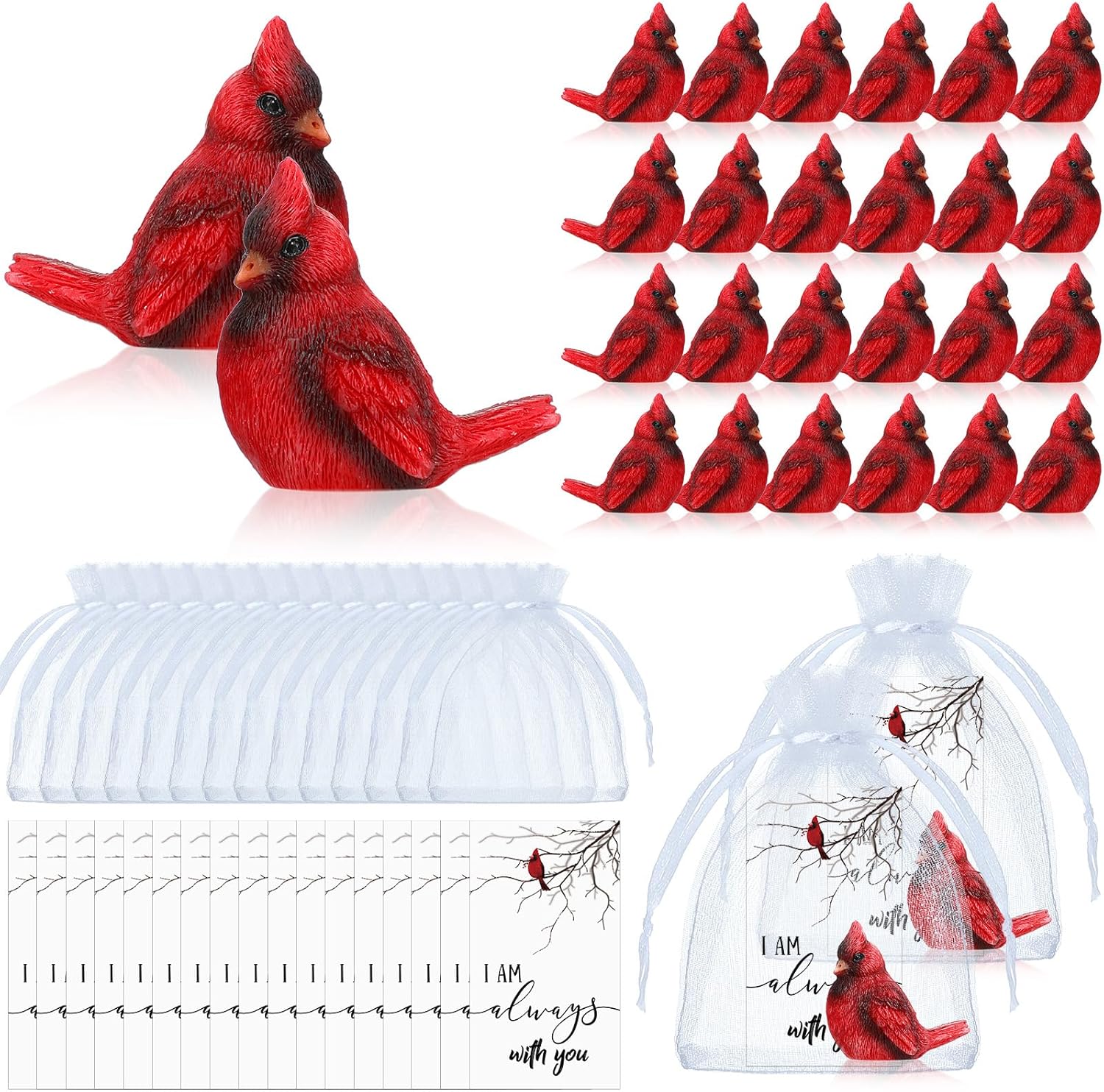 Amazon.com: Roowest 72 Pcs Memorial Cardinal Gift Set Include Mini Red ...