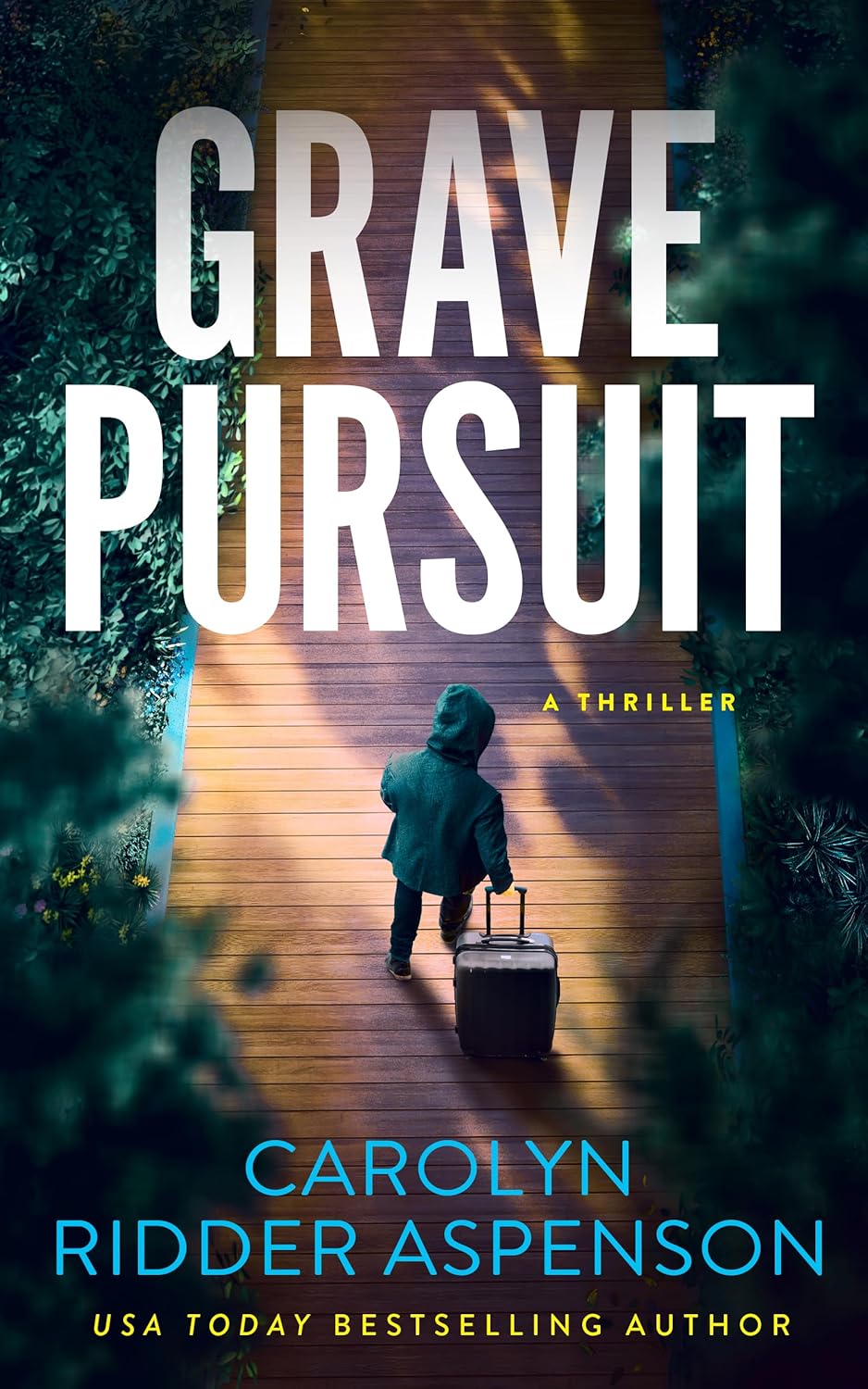 Amazon.com: Grave Pursuit (Rachel Ryder Book 12) eBook : Ridder ...