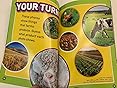 Amazon.com: Farm Animals (National Geographic Kids Readers, Level 1/Co ...