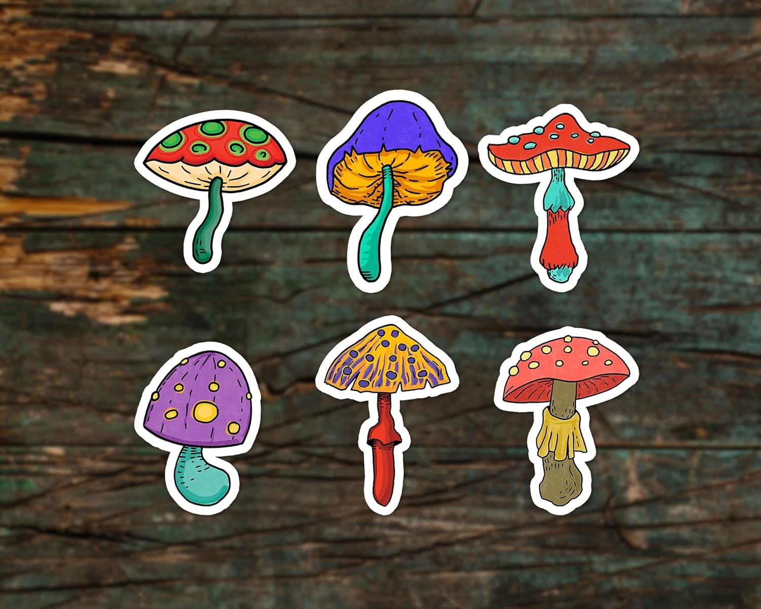 Amazon.com: Mushroom Vinyl Sticker Pack - Mushroom Sticker Set - Nature ...