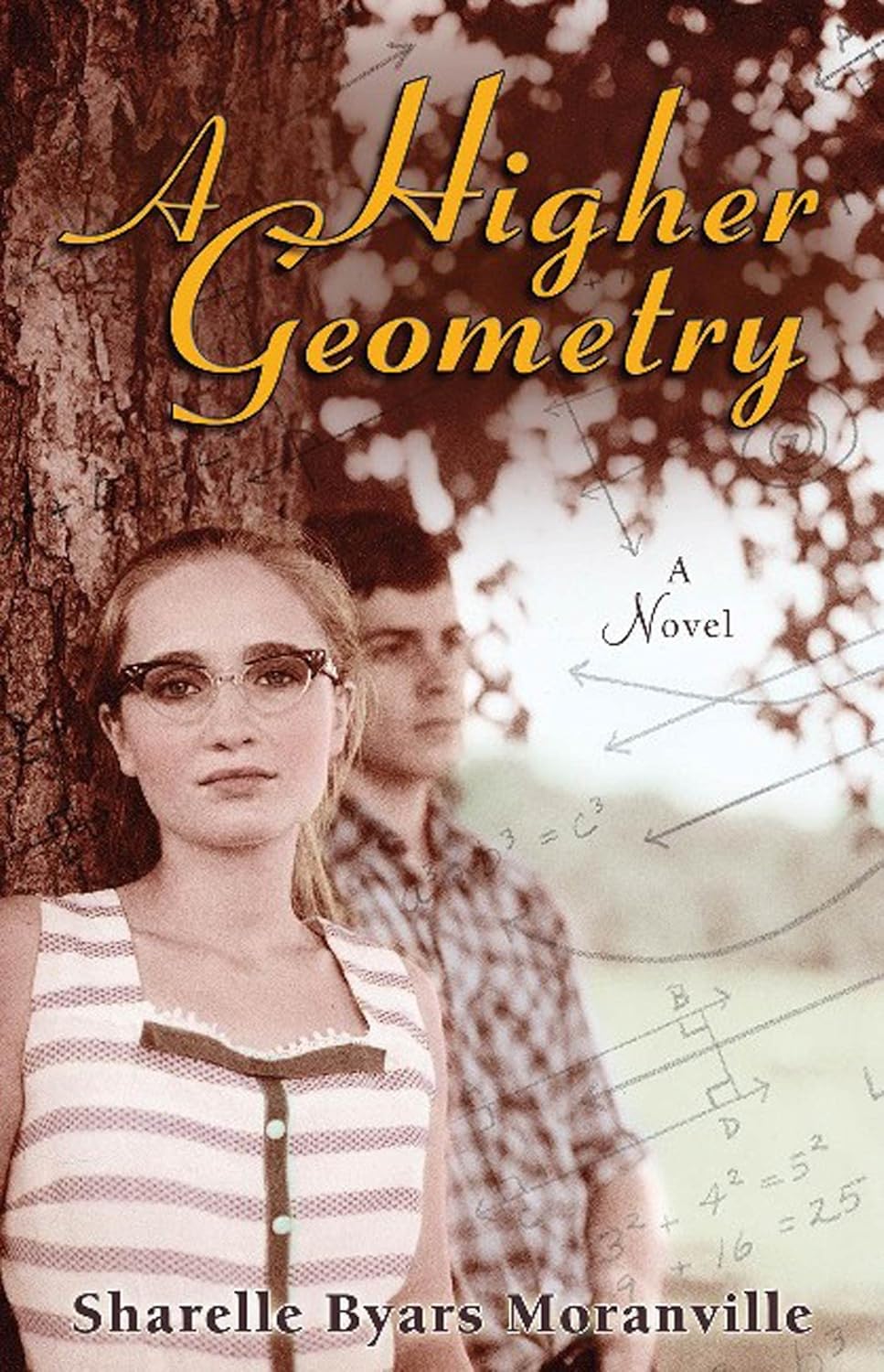 Amazon.com: A Higher Geometry: 9780805074703: Moranville, Sharelle ...