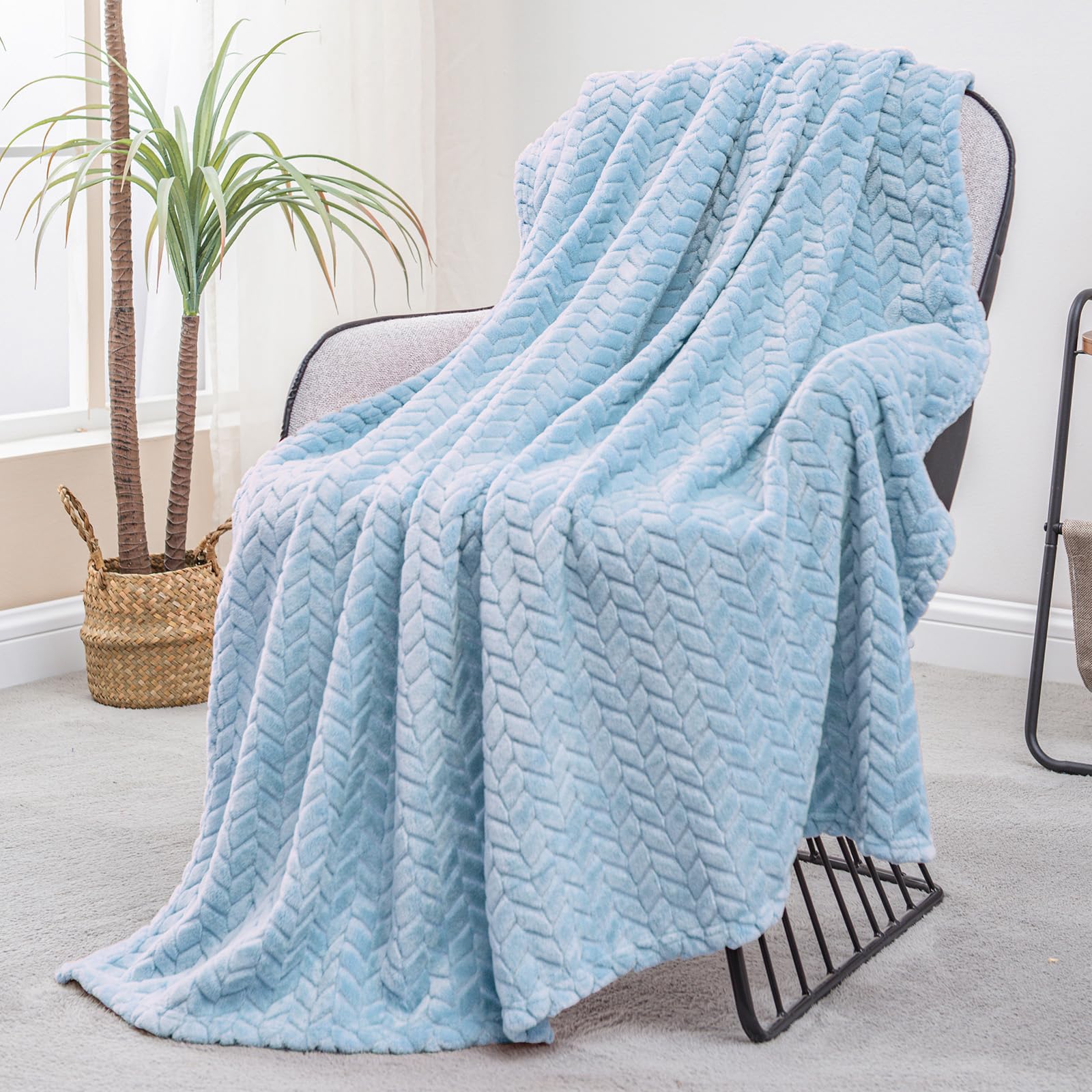 Amazon.com: Exclusivo Mezcla Light Blue Fleece Throw Blanket for Couch ...