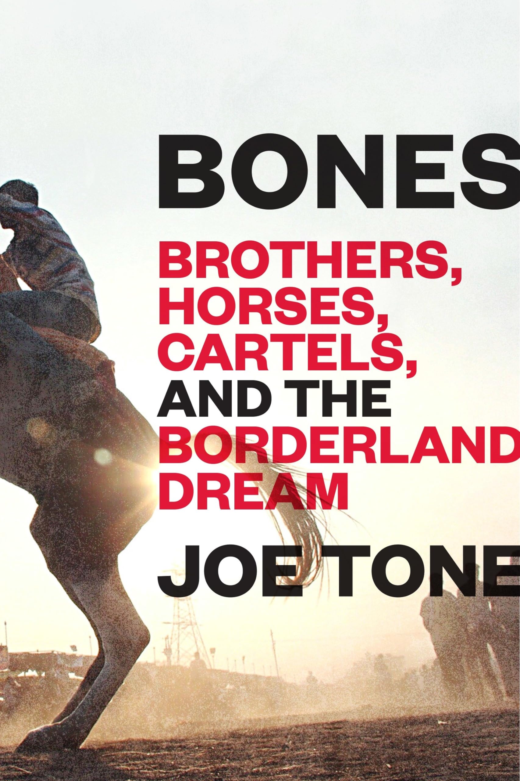 Bones: Brothers, Horses, Cartels, and the Borderland Dream: Tone, Joe ...
