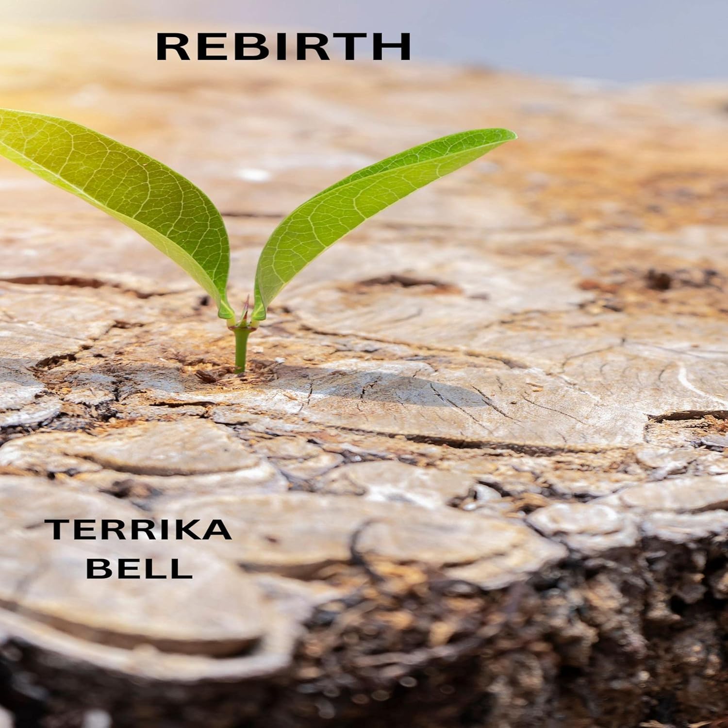 Amazon.com: Rebirth (Audible Audio Edition): Terrika Bell, Russell ...