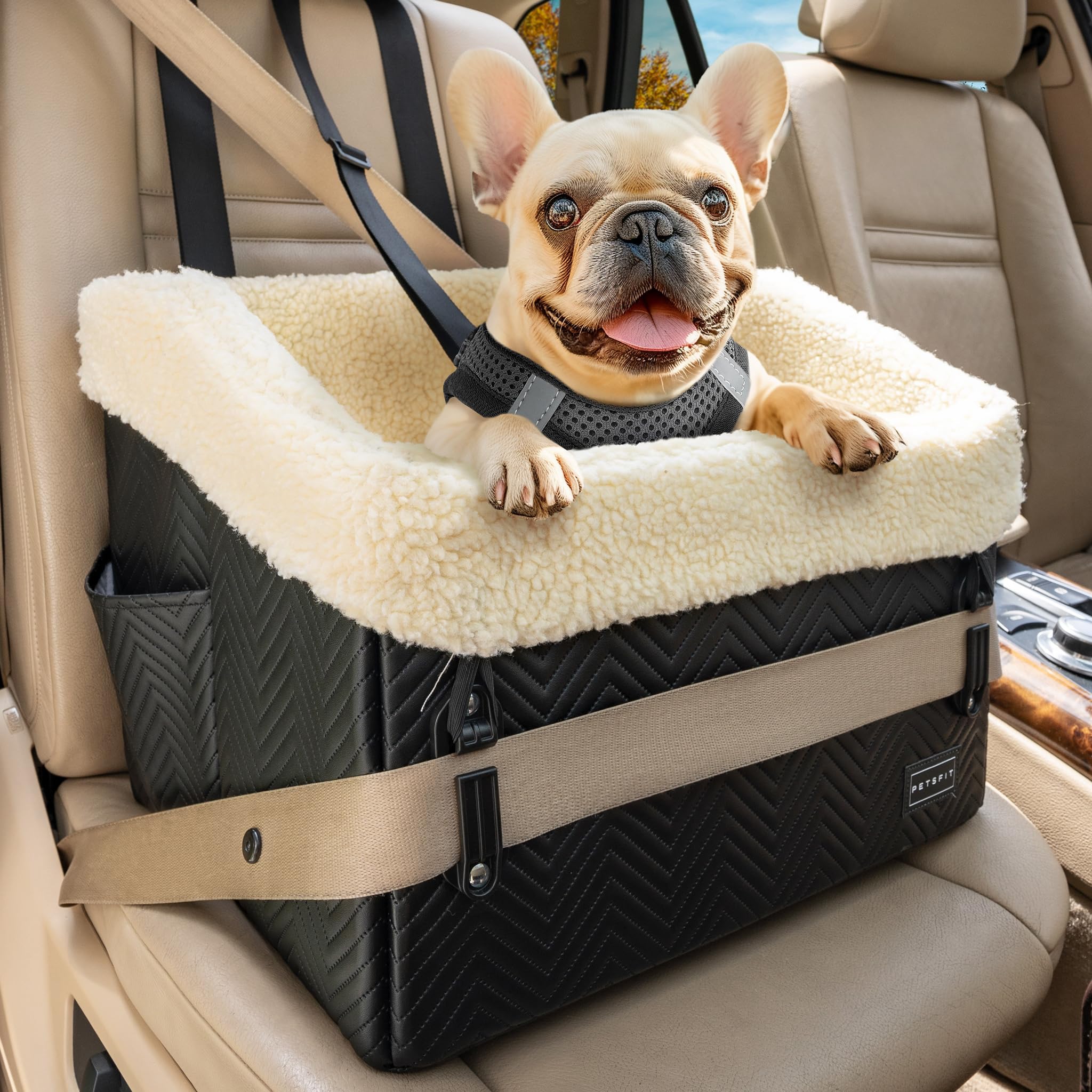 Amazon.com : PETSFIT Small Dog Car Seat, Waterproof PU Leather Dog ...
