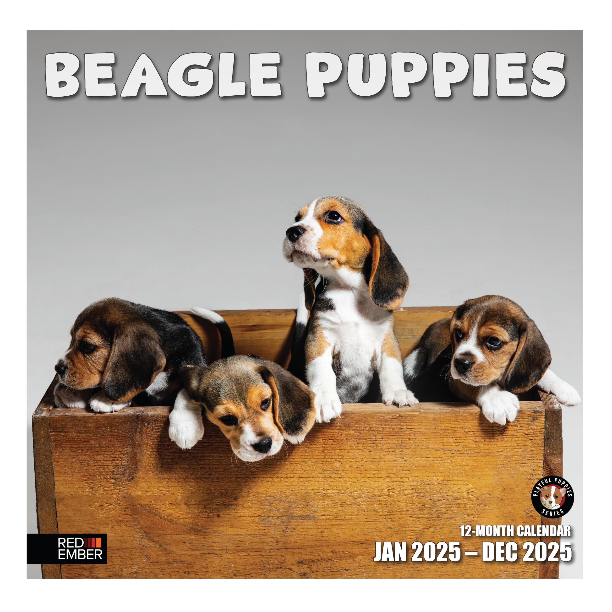 Amazon.com: RED EMBER Beagle Puppies 2025 Wall Calendar 12 Month | 12 ...