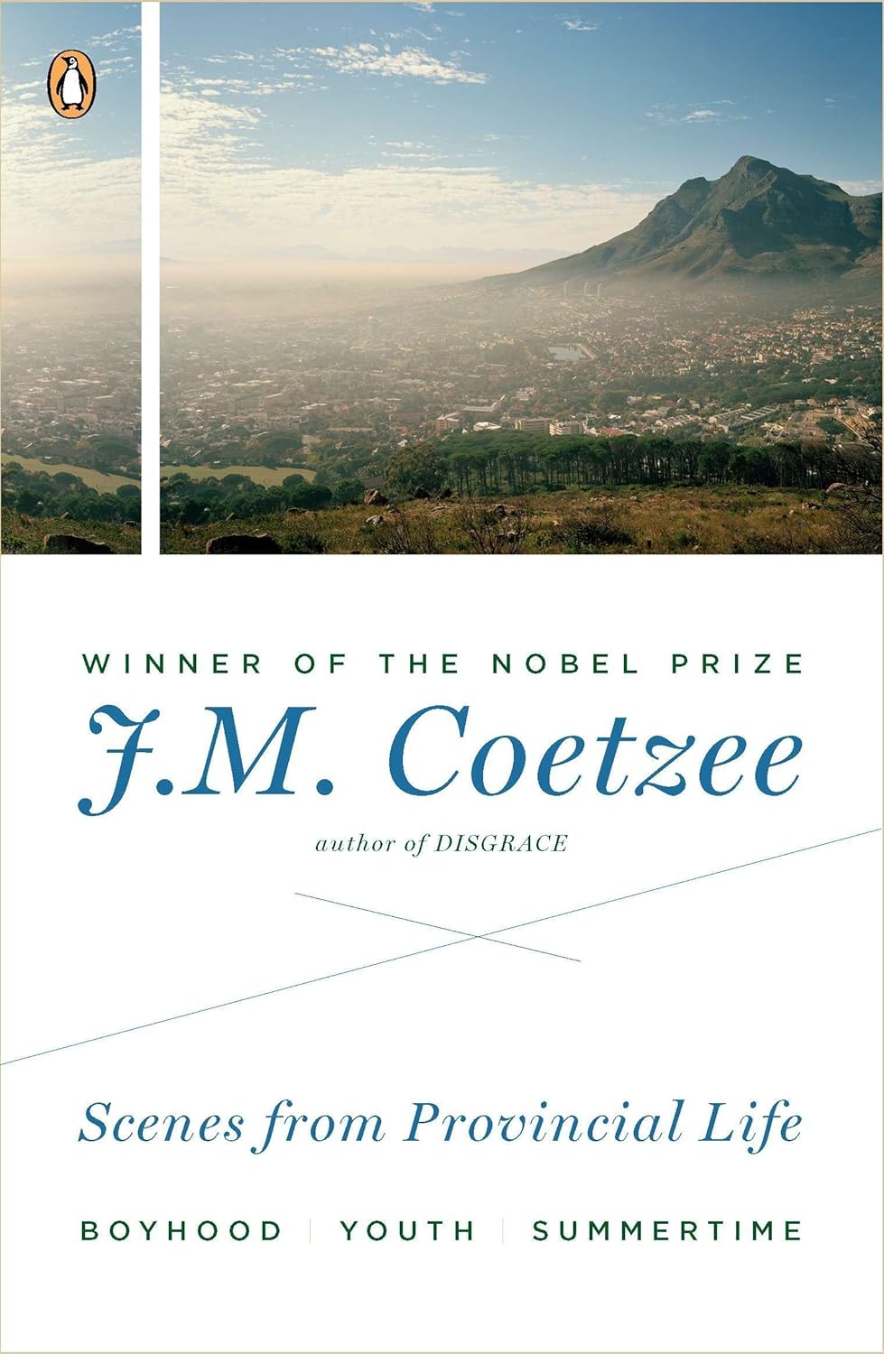 Scenes from Provincial Life: Boyhood, Youth, Summertime: Coetzee, J. M ...