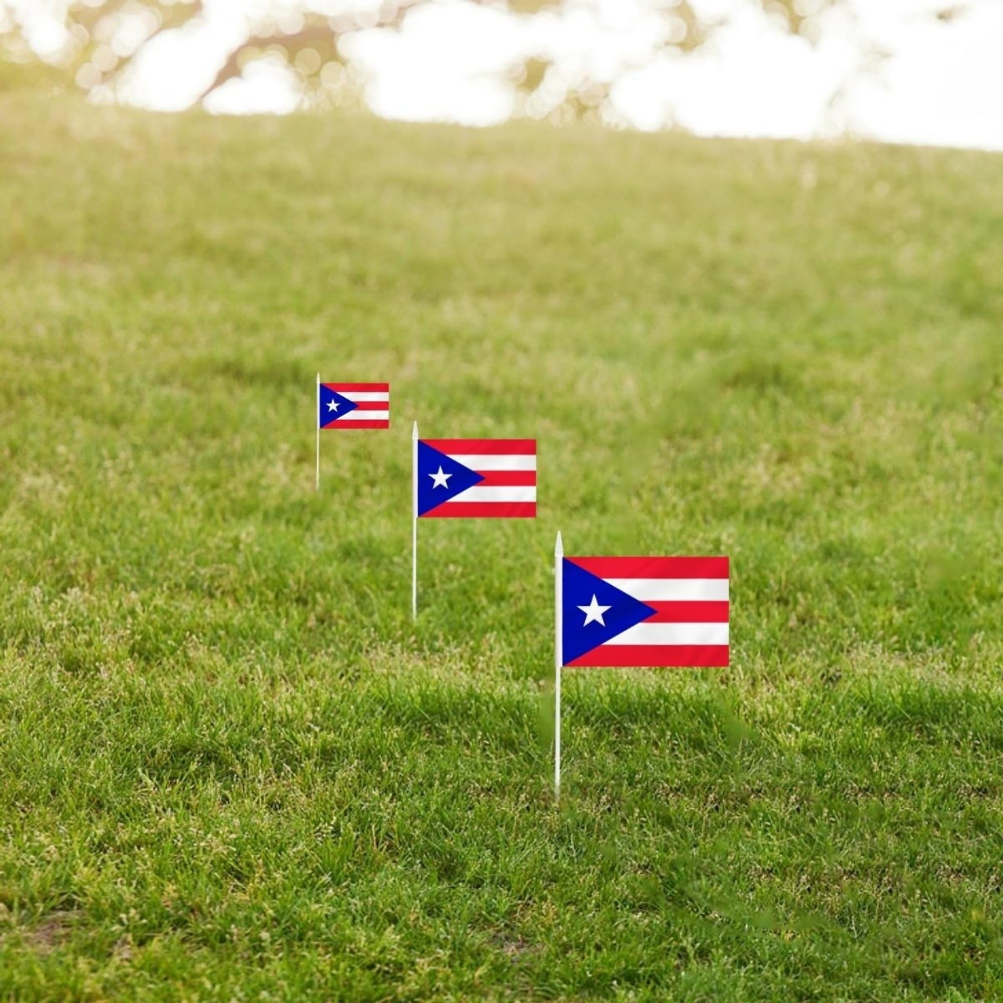 Platero Y Tu Juego De Banderas De Escritorio De Lujo De Puerto Rico De ...