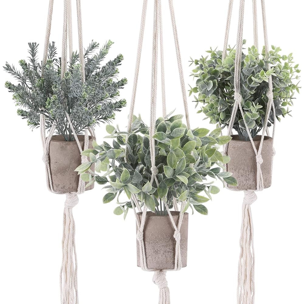 $3/mo - Finance CEWOR Fake Hanging Plants 3 Pack Artificial Plants with ...