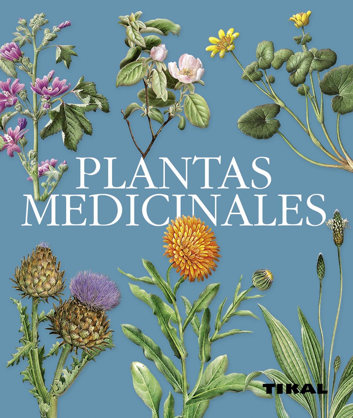 Plantas medicinales (Pequeña biblioteca): Volák Jan: 9788499280103 ...