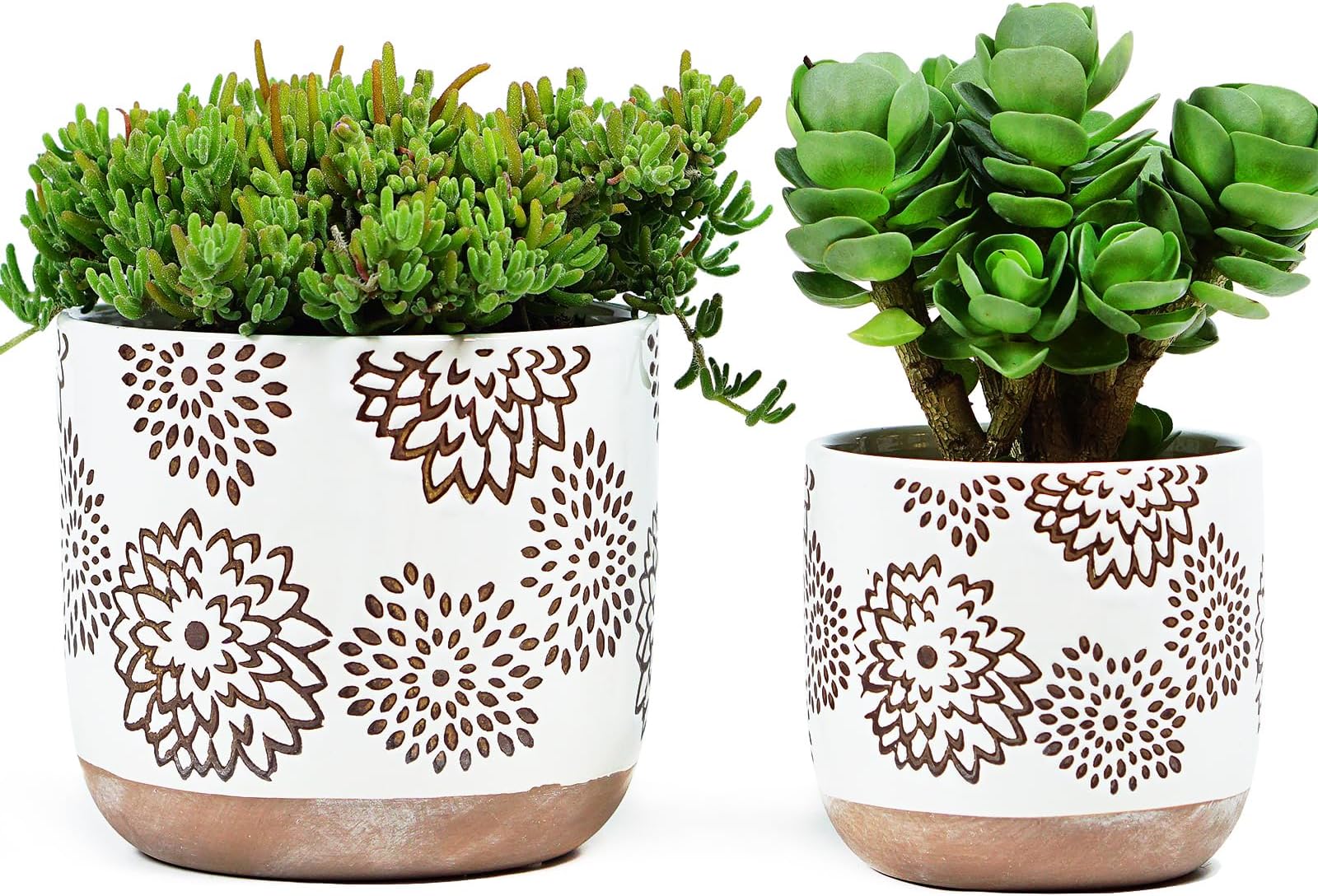 Amazon.com: WP Modern Plant Pot - Boho Planter Pot - Indoor Plant Pots ...
