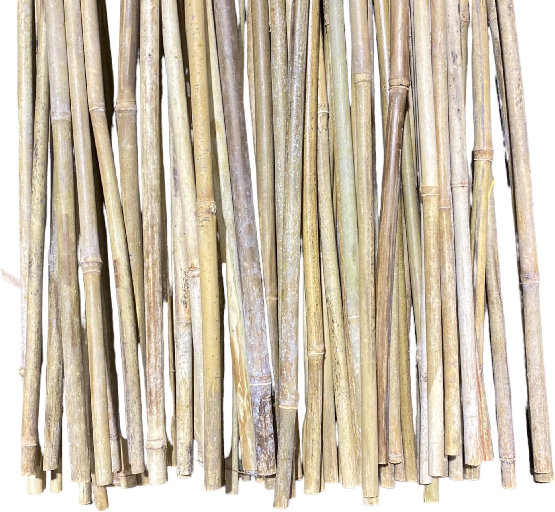 Amazon.com : 5 ft Tall All-Natural Thick Bamboo Poles - (1/2 in Wide ...