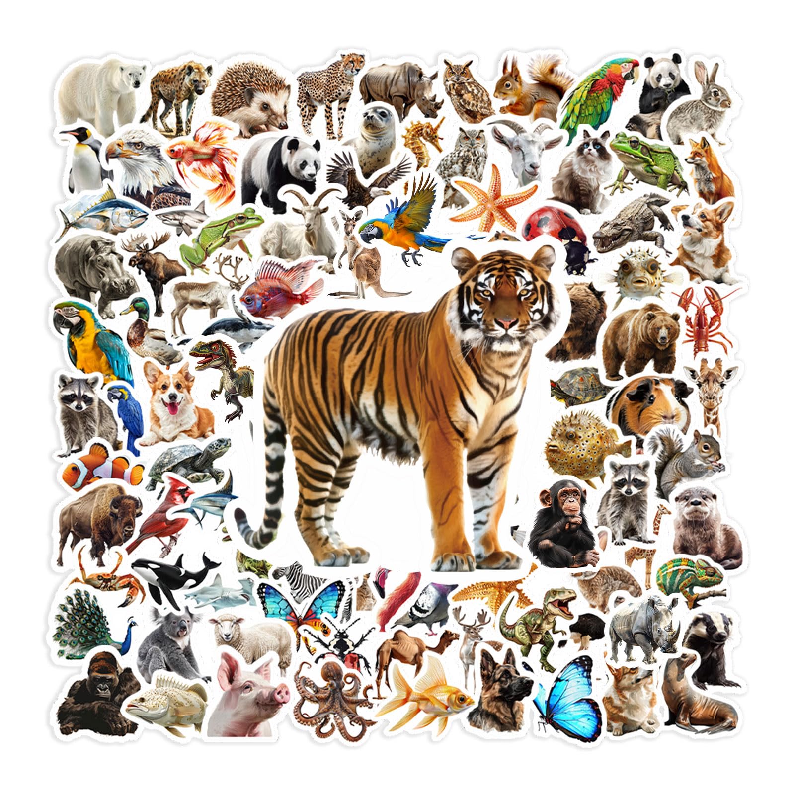 Amazon.com: 100pcs Zoo Animal Stickers for Kids: Jungle Animal Stickers ...