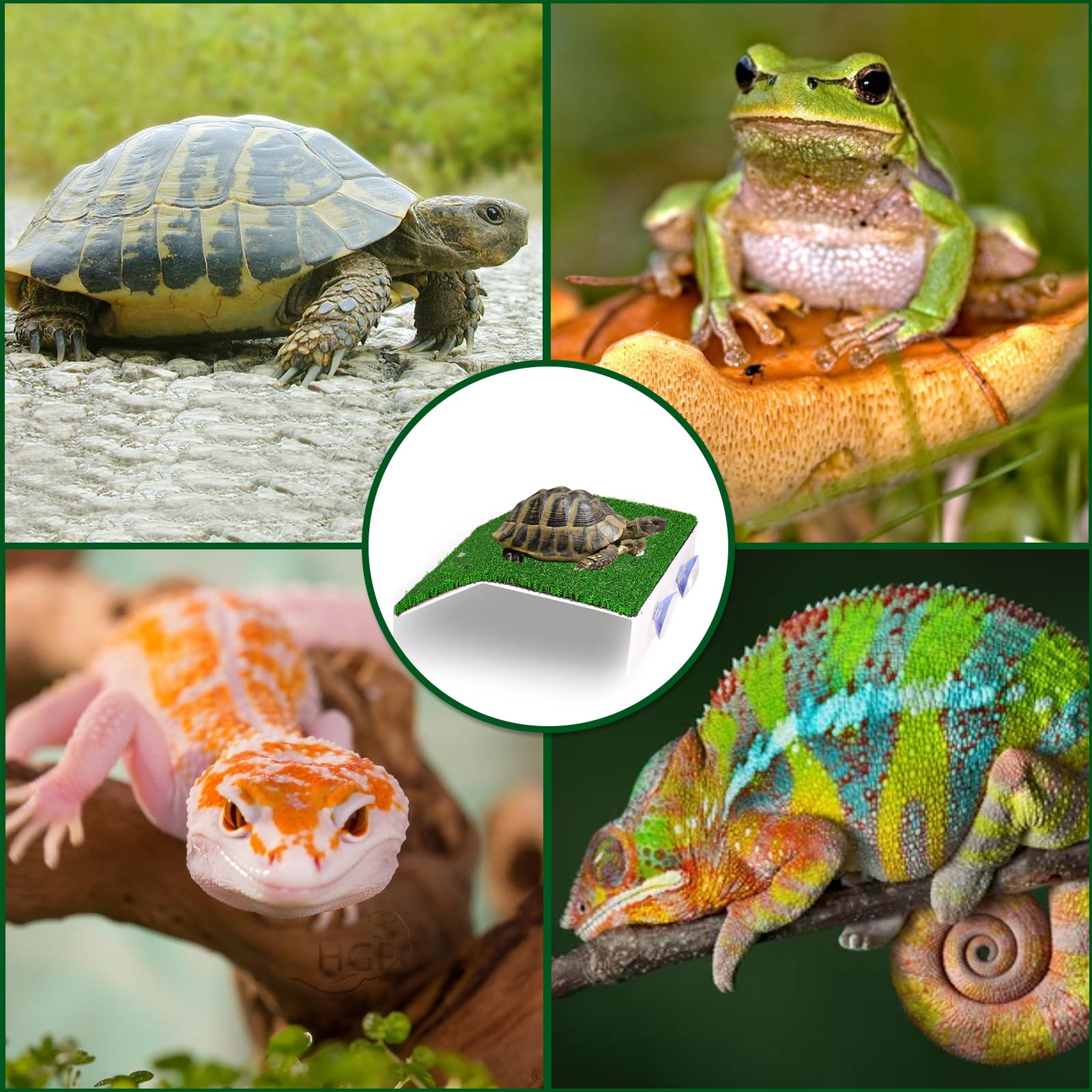 Snapklik.com : Lawn Basking Platform For Turtles, Simulated Grass ...