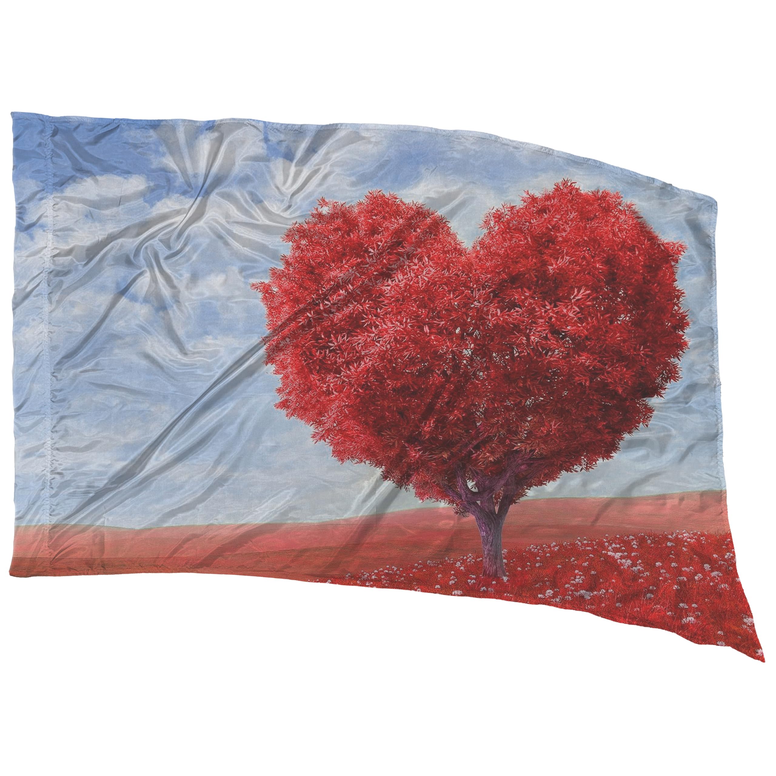 Amazon.com : Pro-Graphx - Color Guard Practice Flags, Marching Band ...