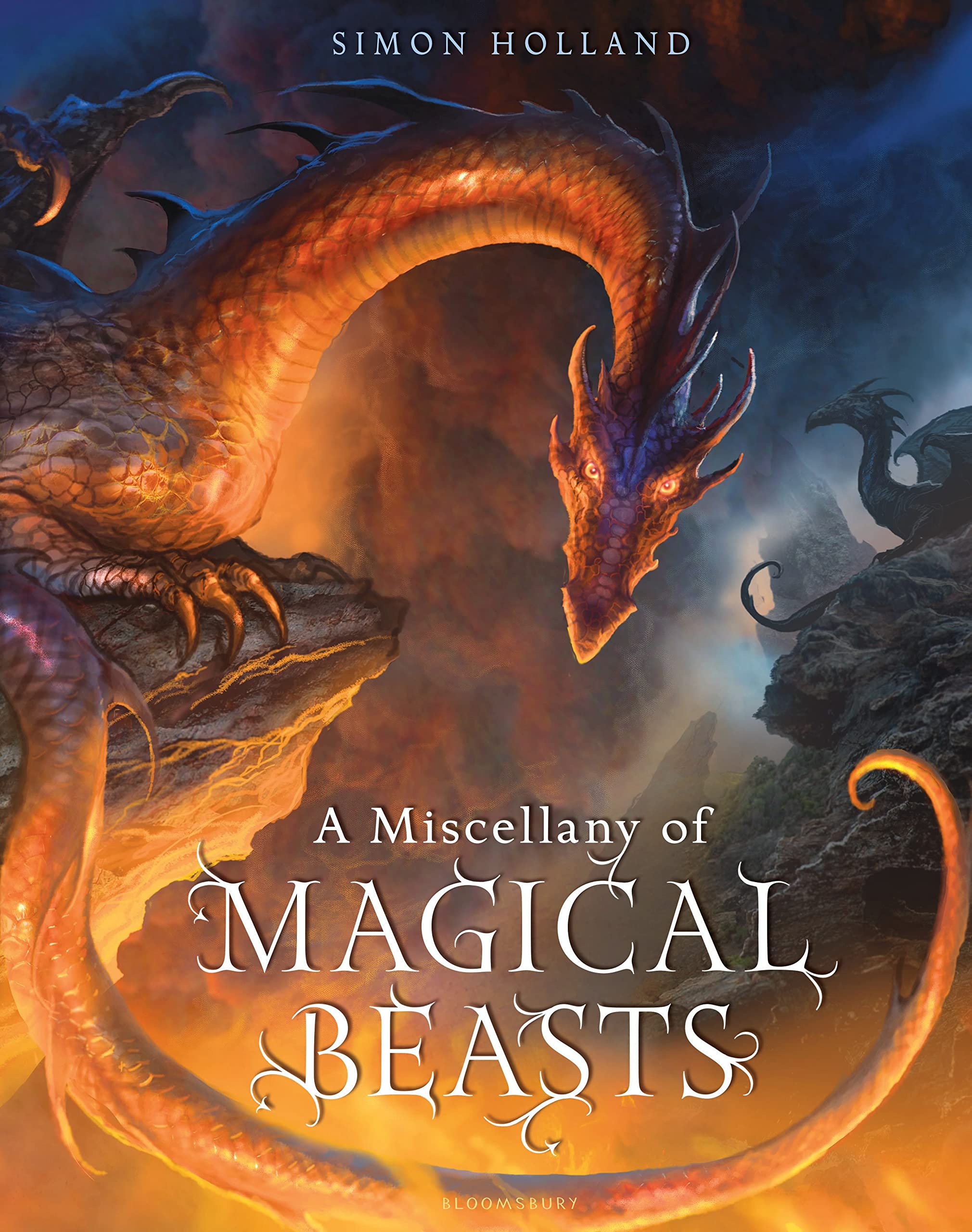 A Miscellany of Magical Beasts: Simon Holland: 9781408881958: Amazon ...